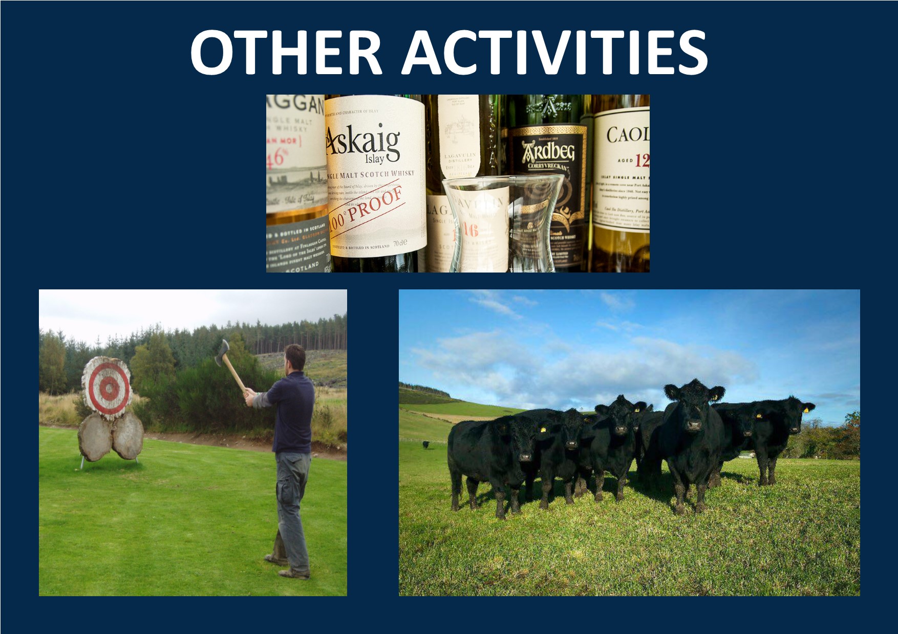 Other Activities - Deeside Activity Park